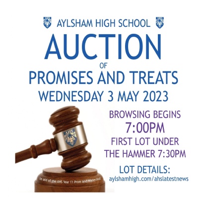 Auction of Promises and Treats - Aylsham High School